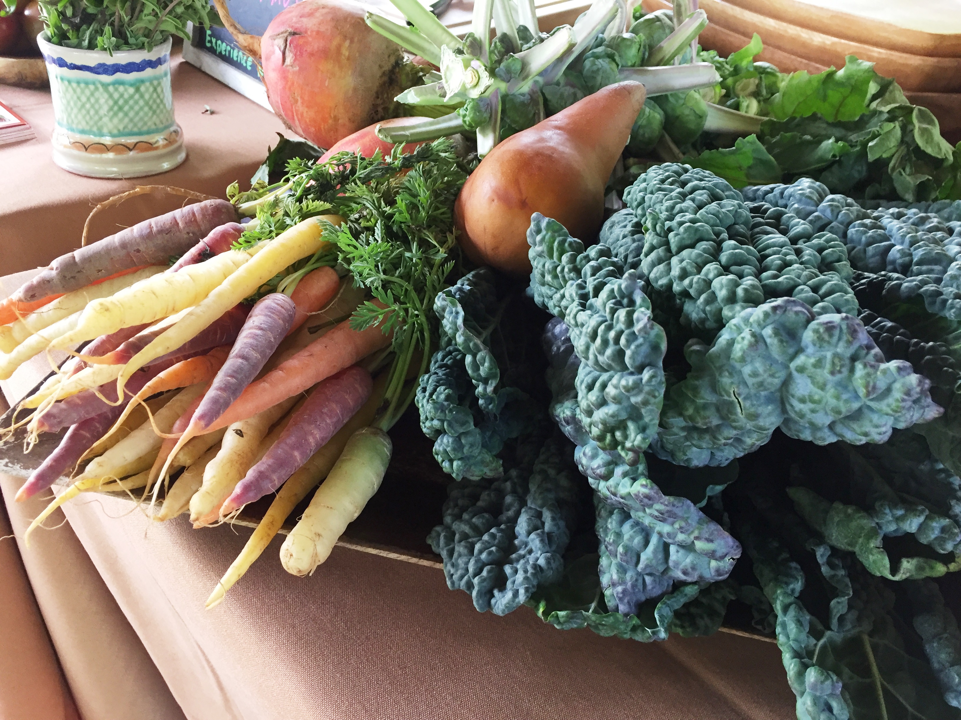 A New View of Healthy Eating: Kids Cooking at The Farm at South ...