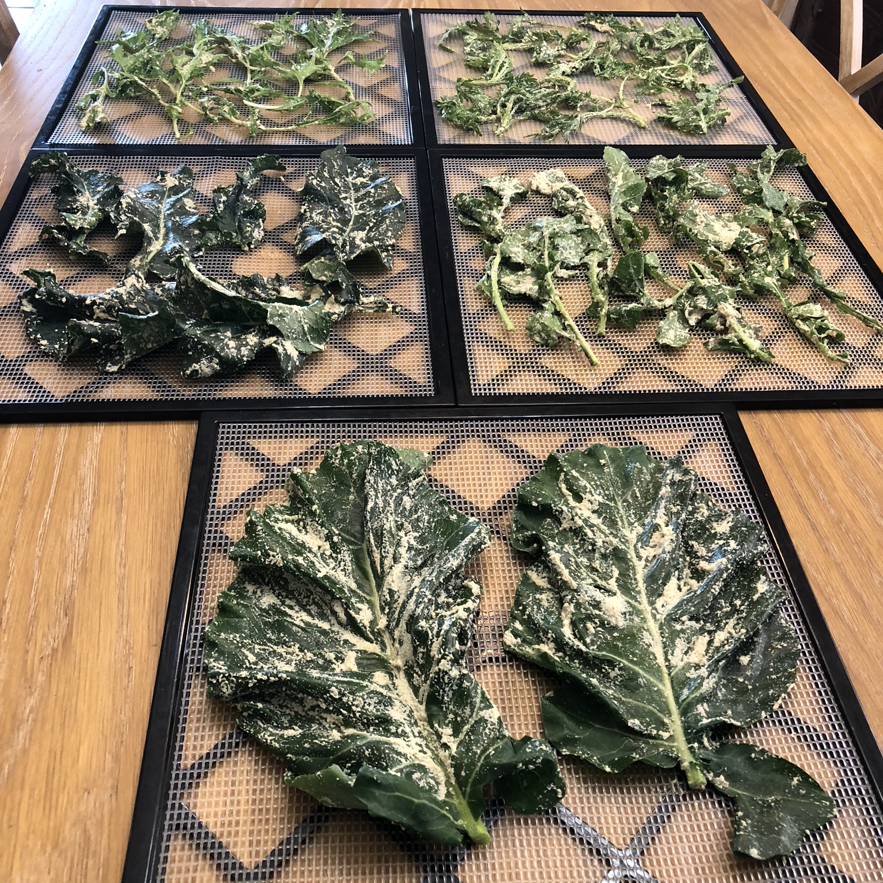 Experience Nutrition: Farm-to-Table Recipe: More than Kale Chips. 5 New ...